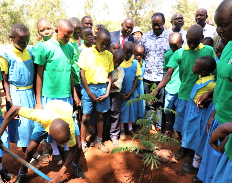 SCHOOL GREENING PROGRAM - Vihiga County